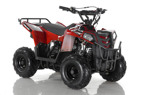 Mini Commander 110cc ATV Automatic With Reverse – Family Funsports
